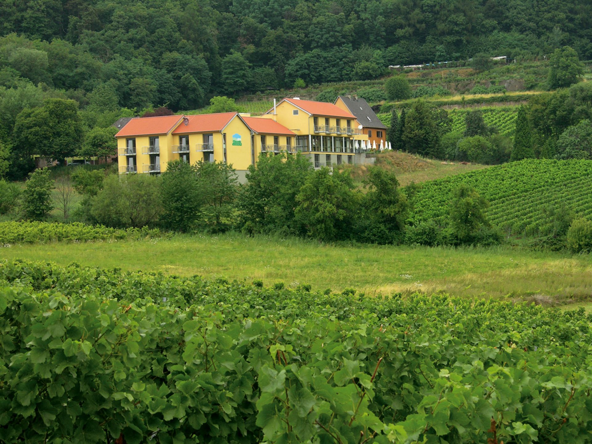 Fotos Wohlfühlhotel Alte Rebschule Rhodt - Wohlfühlhotel "Alte Rebschule",